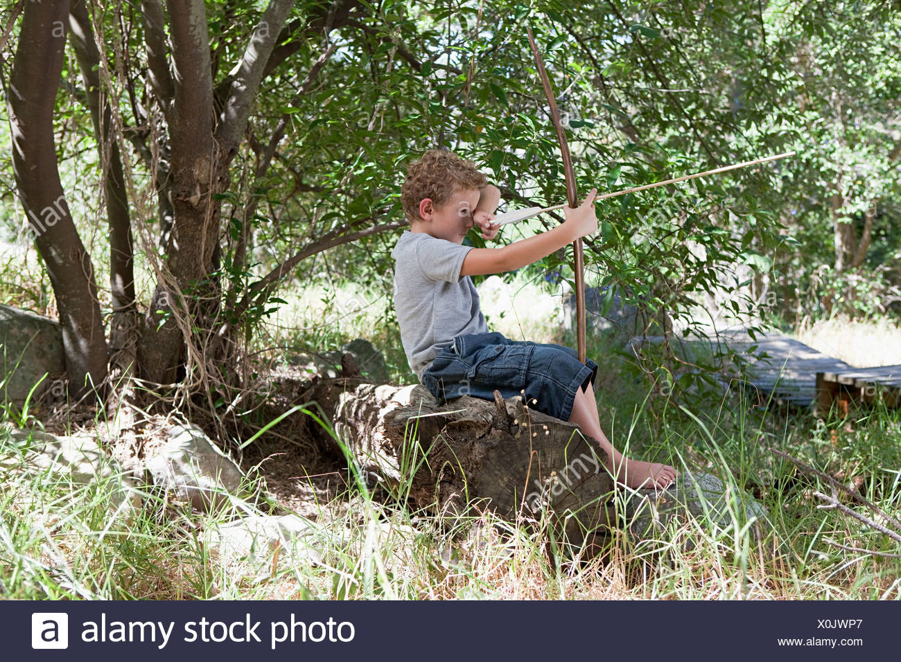 Arrow Grass High Resolution Stock Photography and Images - Alamy