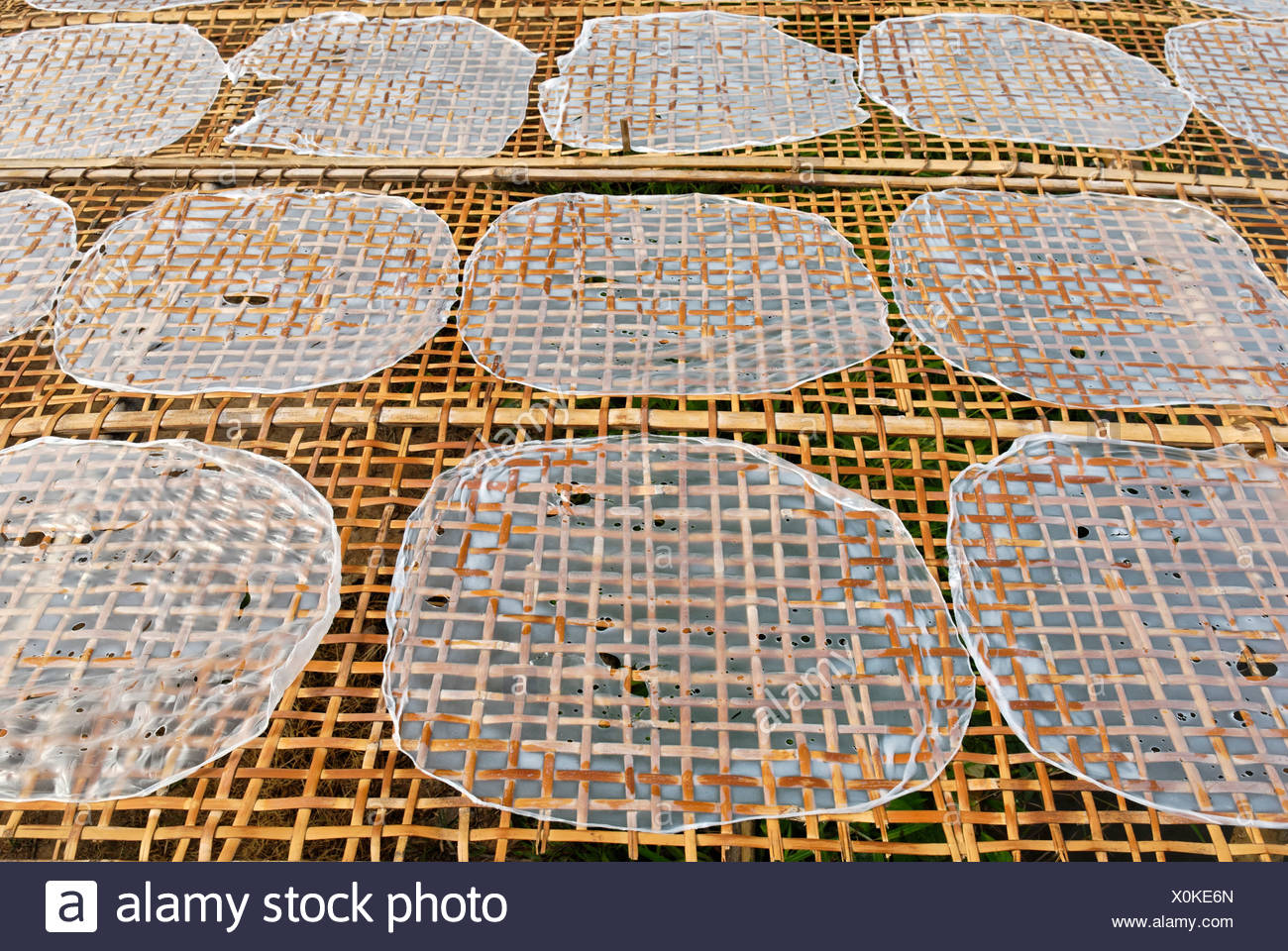 Rice Paper Production Vietnam High Resolution Stock Photography and ...