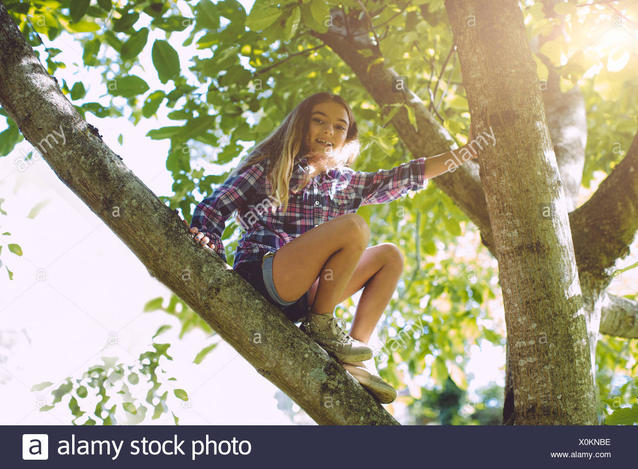 Girl Sitting On Branch Of Tree Stock Photos & Girl Sitting On Branch Of ...