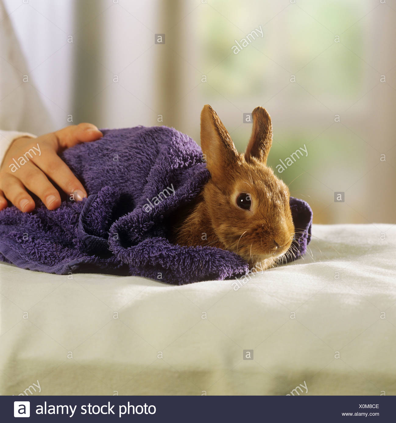 Heat Stroke Stock Photos & Heat Stroke Stock Images - Alamy