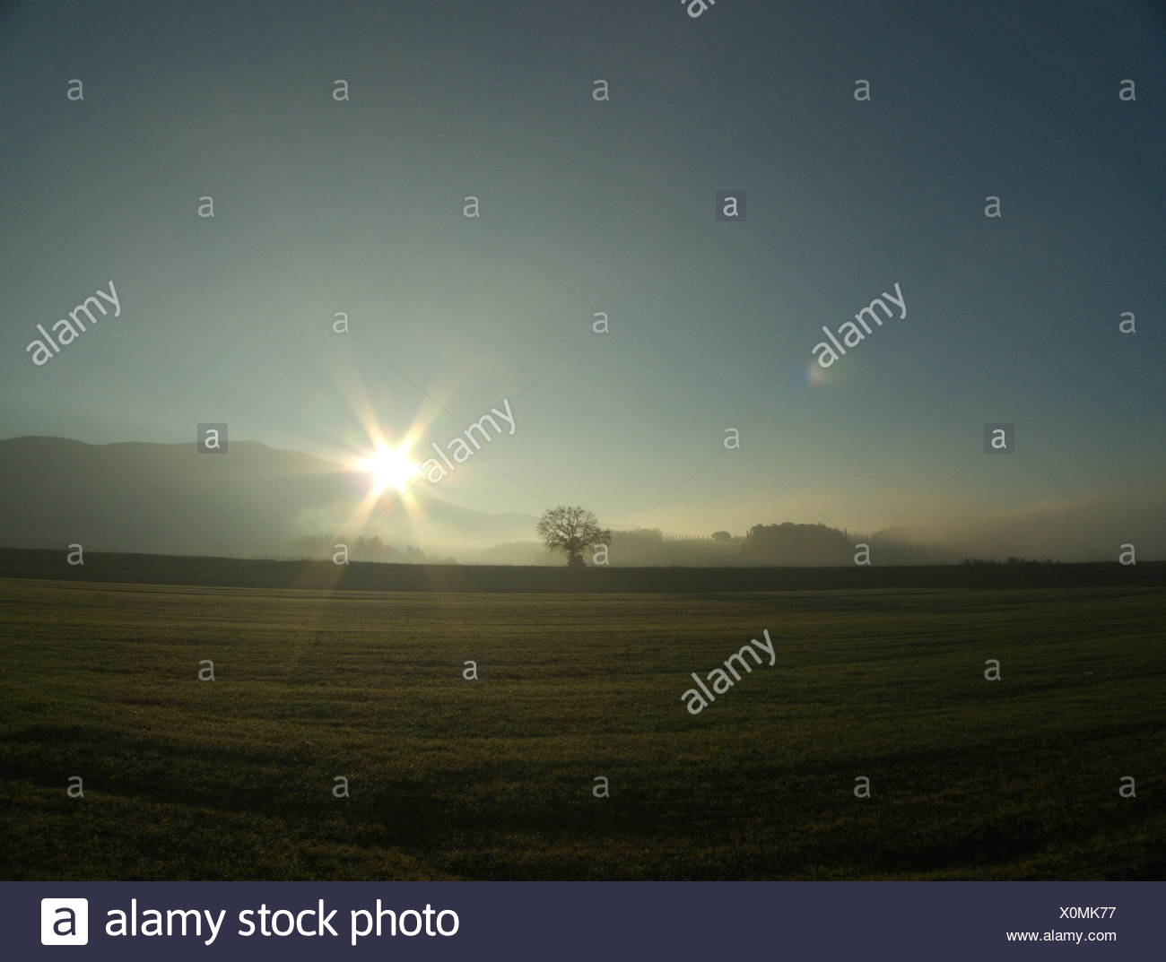 Sun Shining On Grass Stock Photos & Sun Shining On Grass Stock Images ...