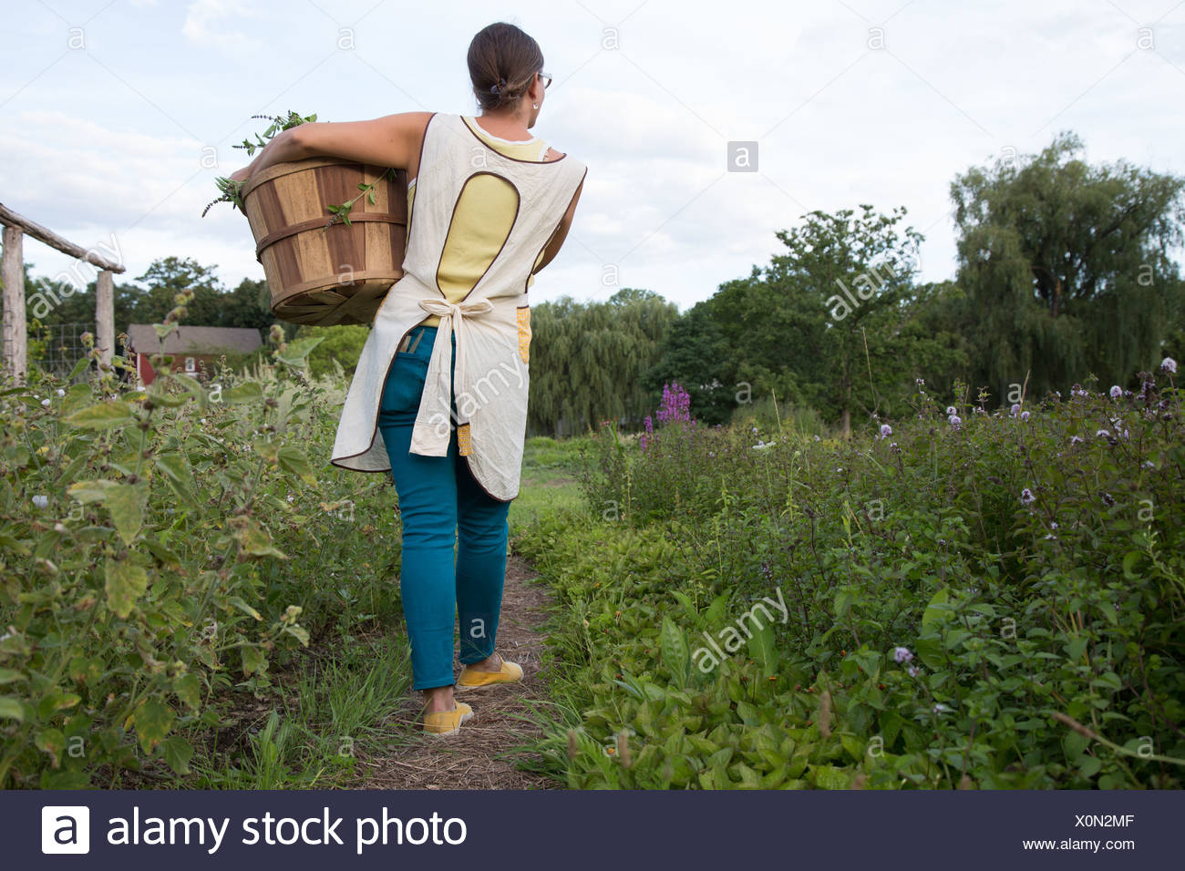 Female Plants High Resolution Stock Photography and Images - Alamy