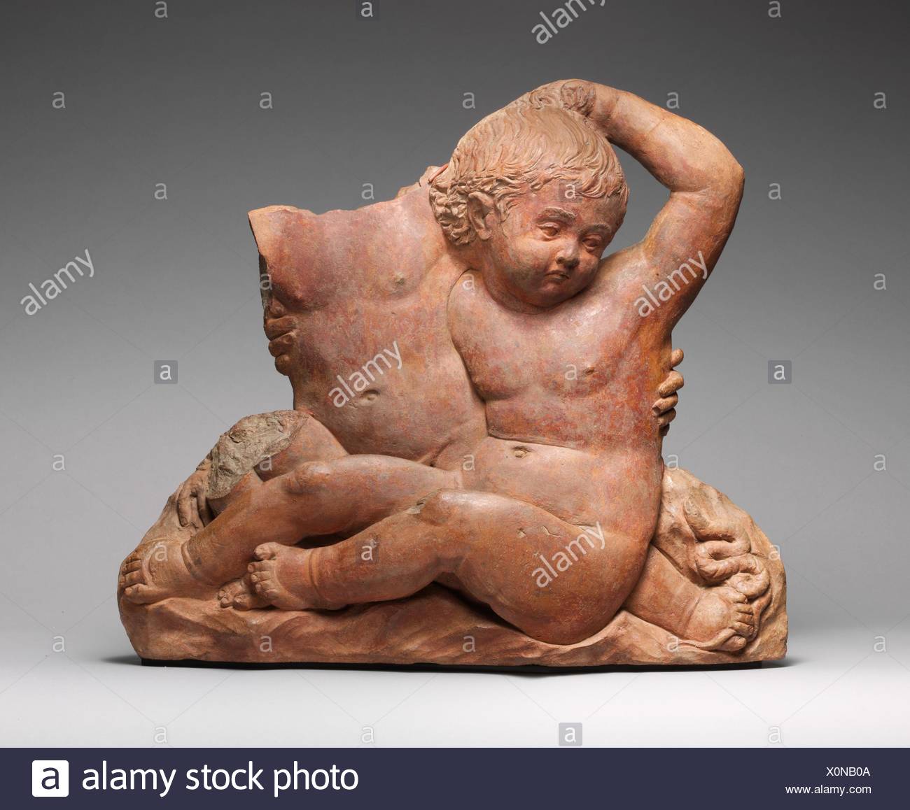 Snake Birth High Resolution Stock Photography and Images - Alamy