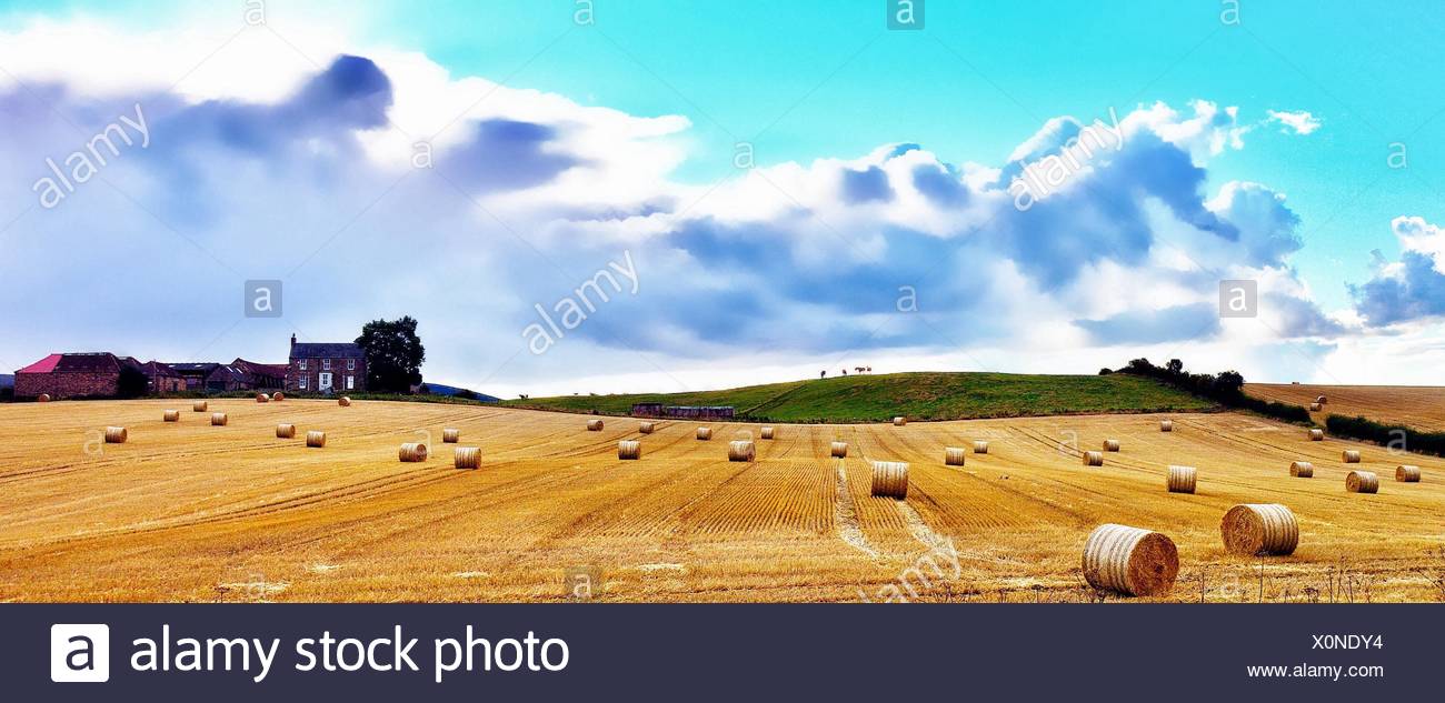 Country Life Stock Photos & Country Life Stock Images - Alamy