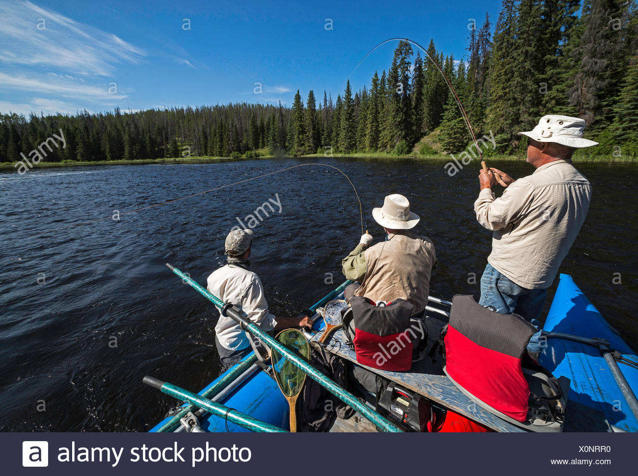 Blackwater River Stock Photos & Blackwater River Stock Images - Alamy