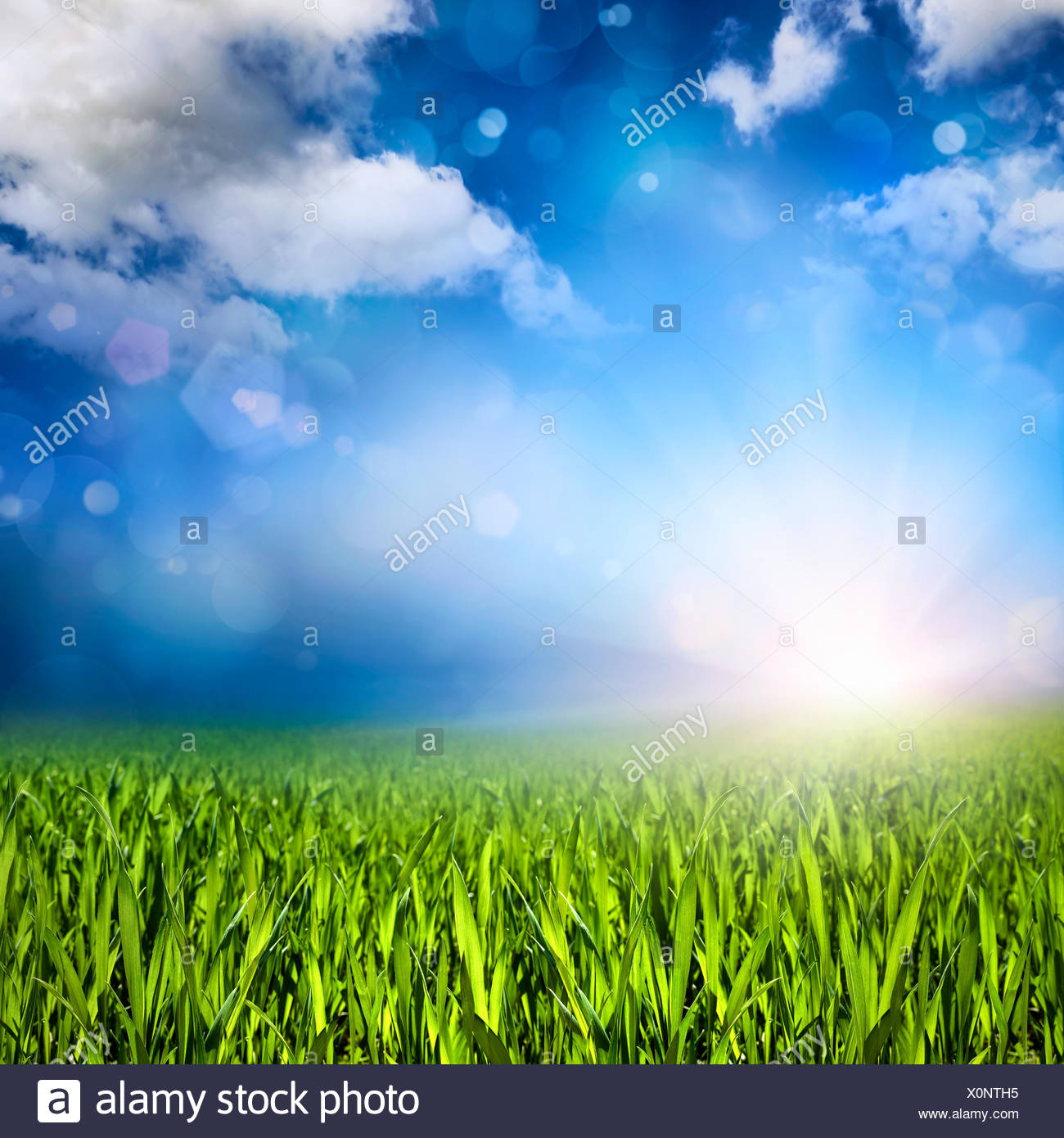 Gras Erde Wiese High Resolution Stock Photography and Images - Alamy