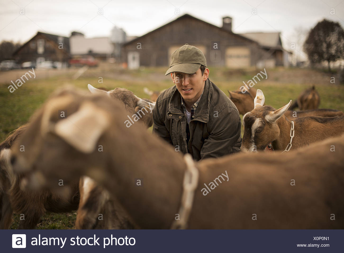 Even Working High Resolution Stock Photography and Images - Alamy