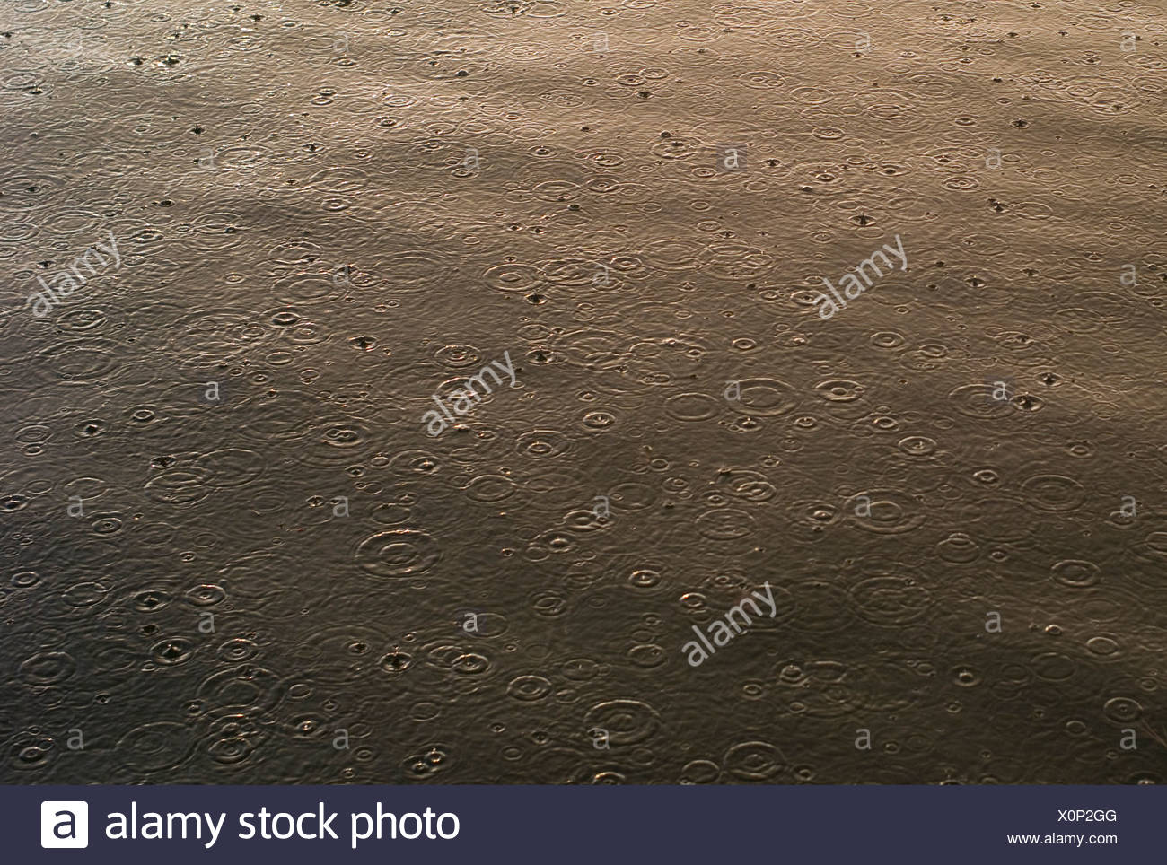 Rain Falling High Resolution Stock Photography and Images - Alamy