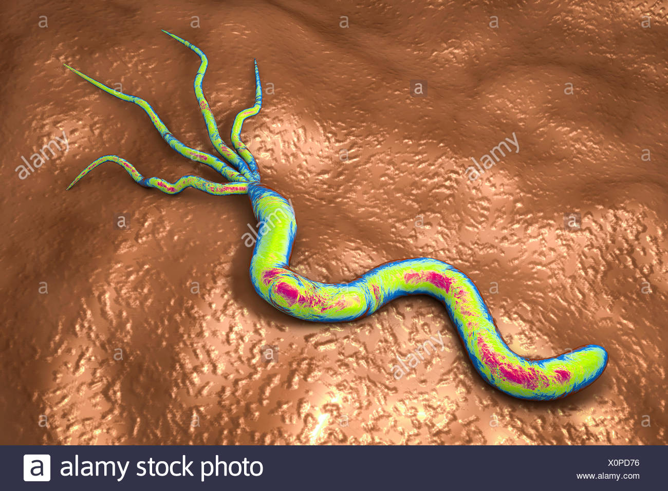 Biopsy Stock Photos & Biopsy Stock Images - Alamy