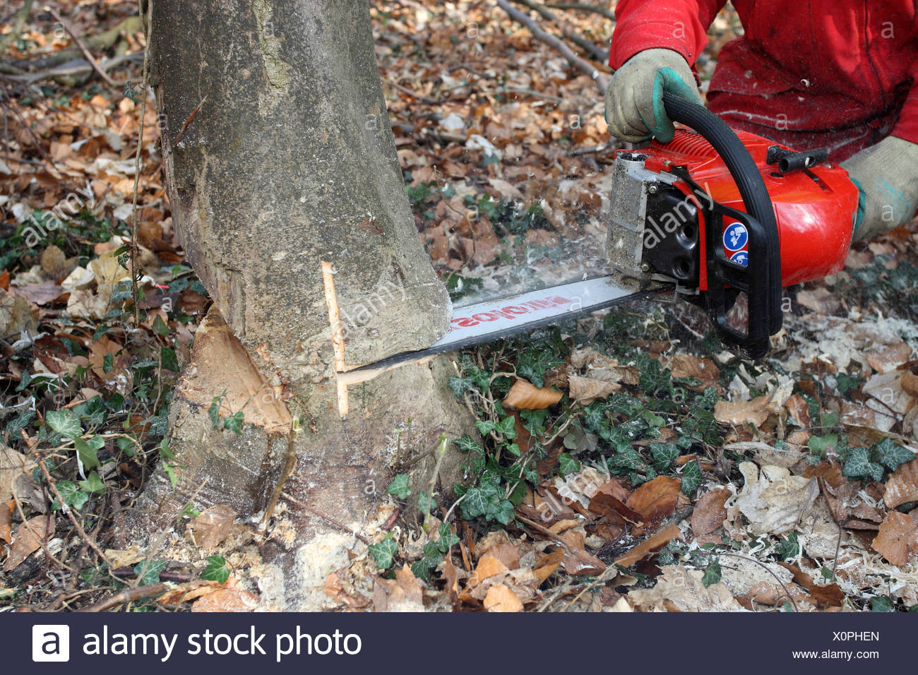 Chainsaw Chain Closeup High Resolution Stock Photography and Images - Alamy
