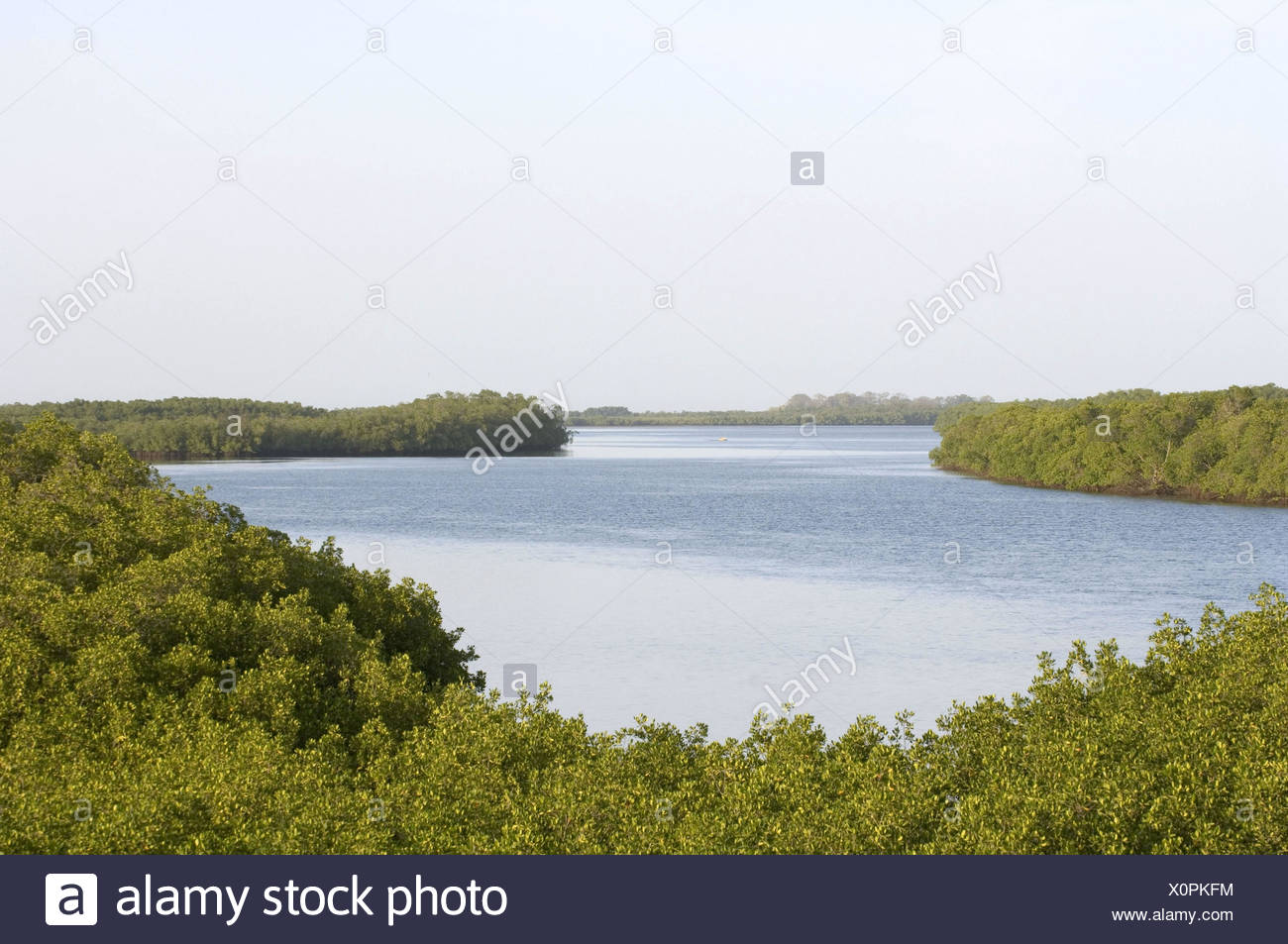 Saloum River Delta High Resolution Stock Photography and Images - Alamy