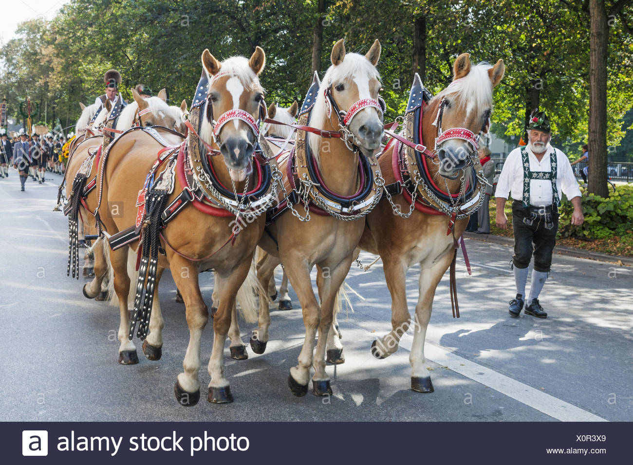 Horse Drawn Carriage Bavaria High Resolution Stock Photography and ...