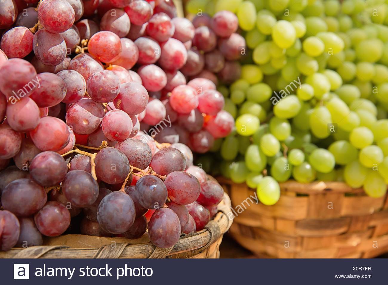 White Grape Varieties High Resolution Stock Photography and Images - Alamy