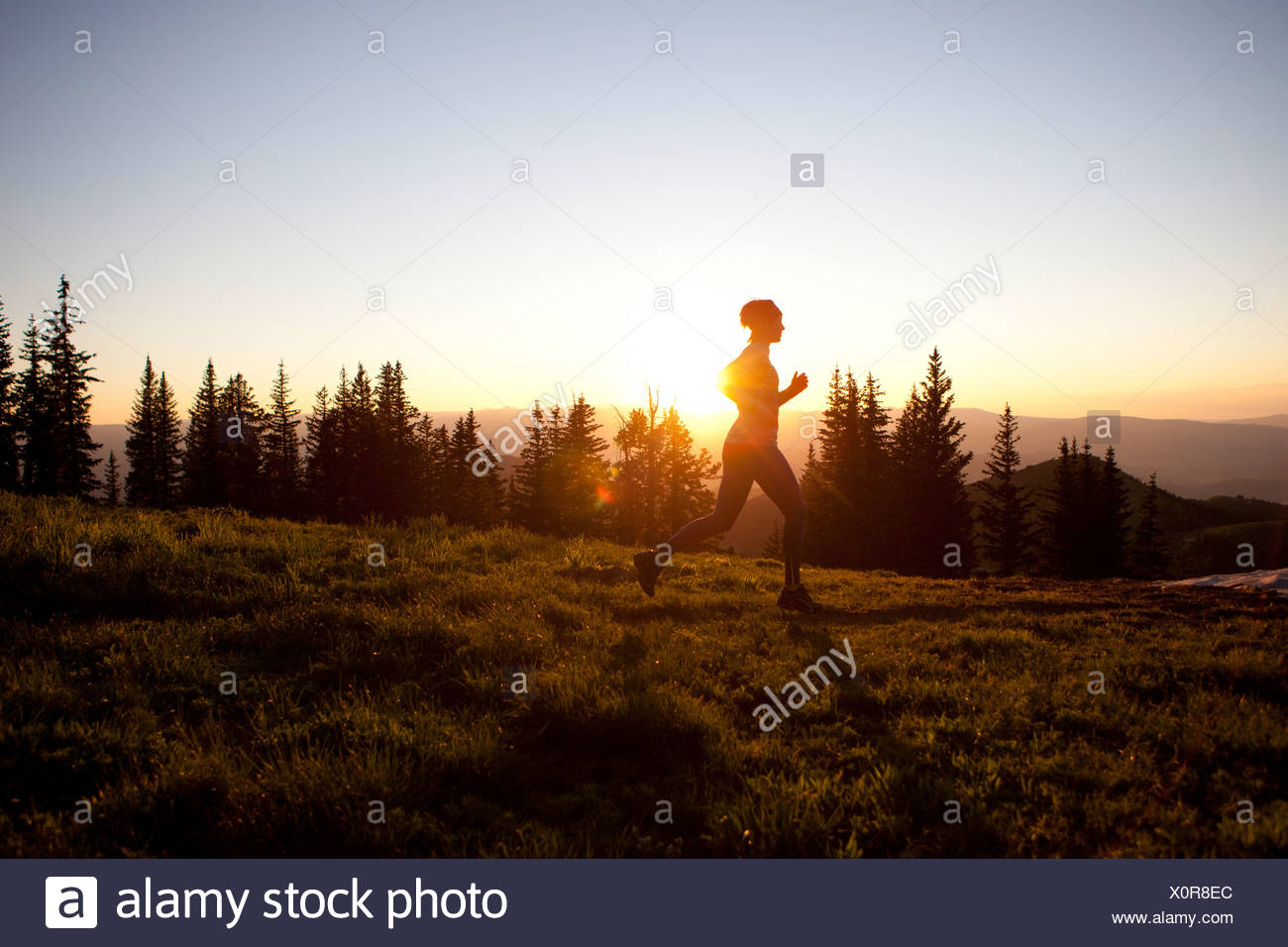 Silhouette Early Morning Sun High Resolution Stock Photography and ...