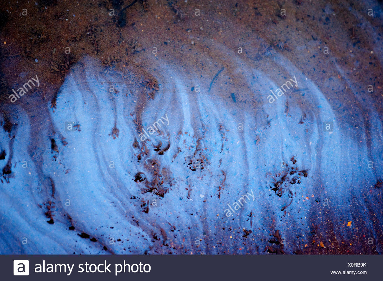 Gallionella Ferruginea High Resolution Stock Photography and Images - Alamy