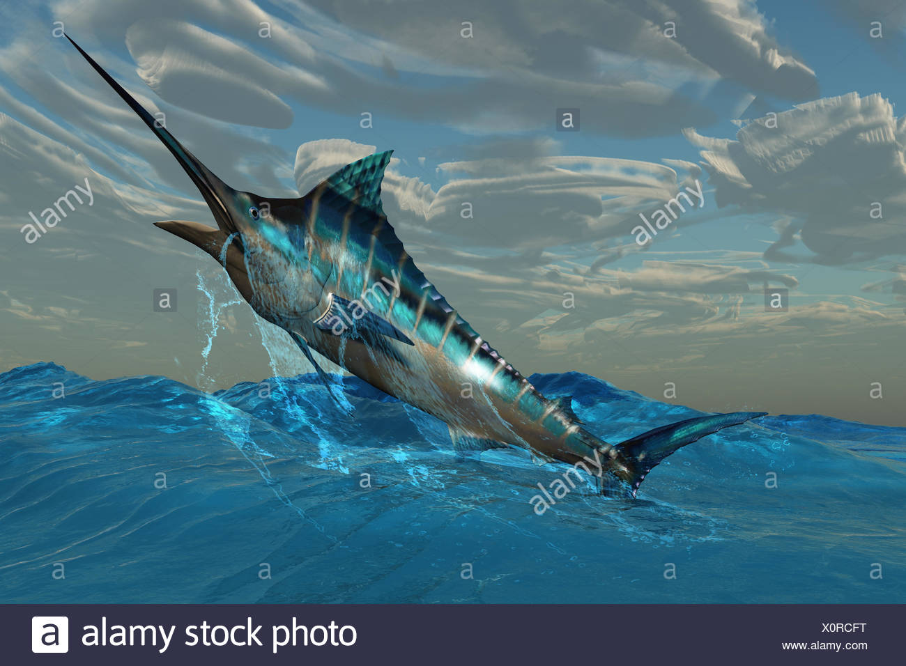Blue Marlin Underwater High Resolution Stock Photography and Images - Alamy