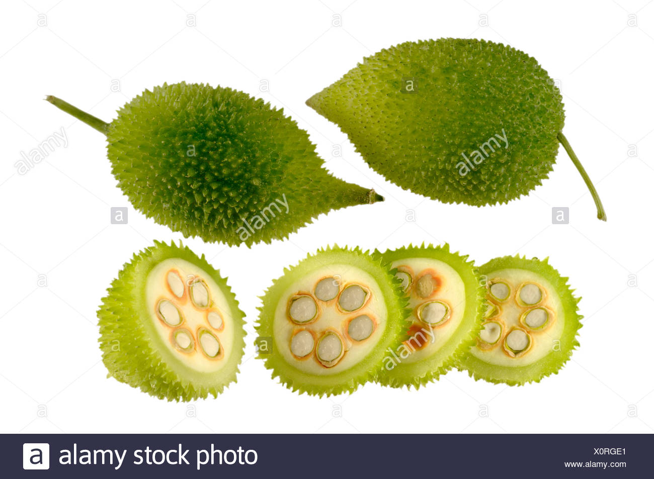 Cantola High Resolution Stock Photography and Images - Alamy