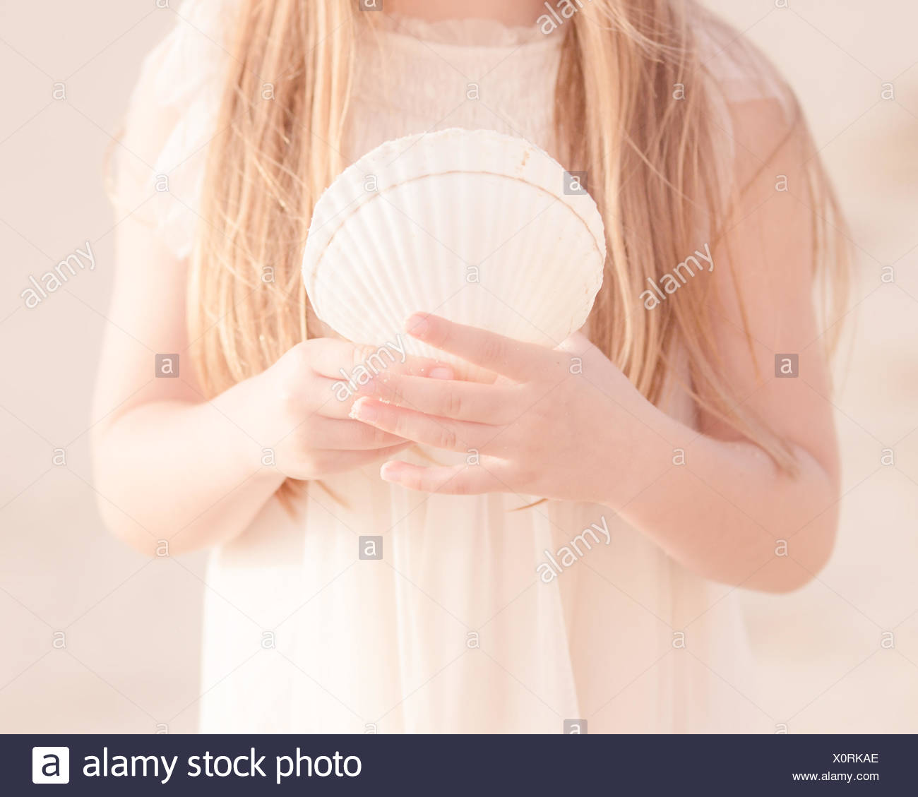Holding Seashell Stock Photos & Holding Seashell Stock Images - Alamy