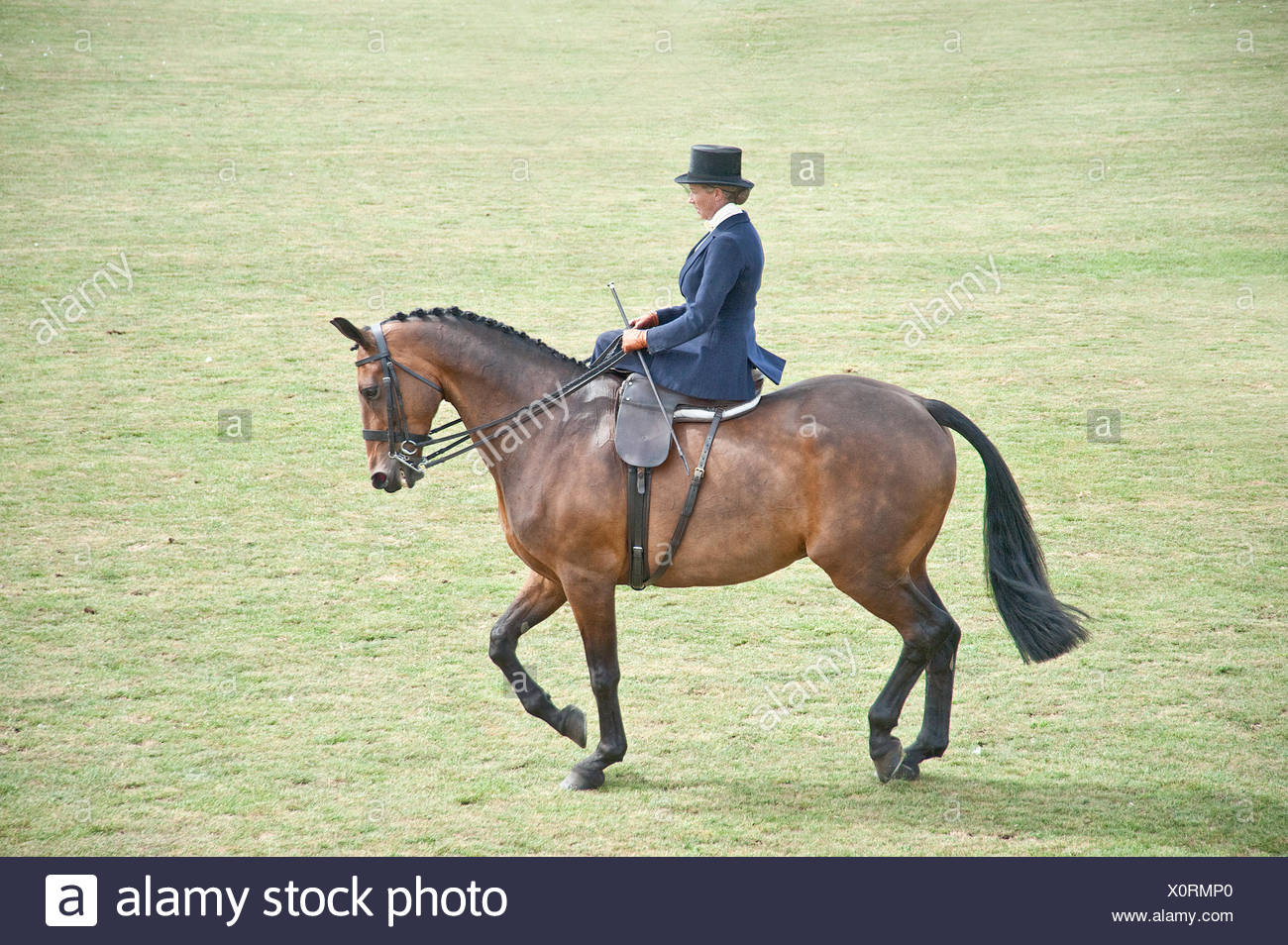Side Saddle Stock Photos & Side Saddle Stock Images - Alamy