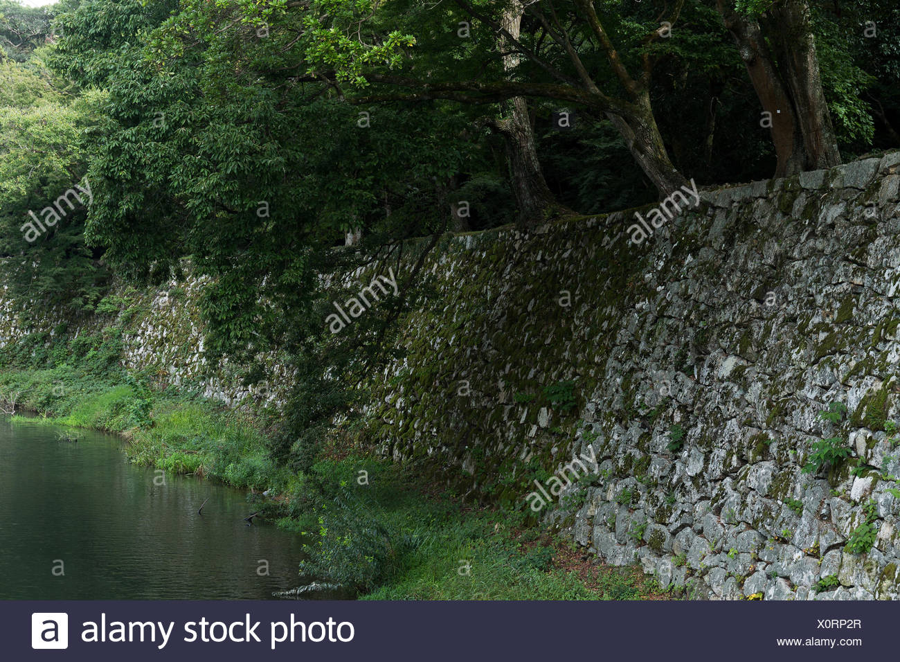 Hedge And Brick Wall Stock Photos & Hedge And Brick Wall Stock Images ...