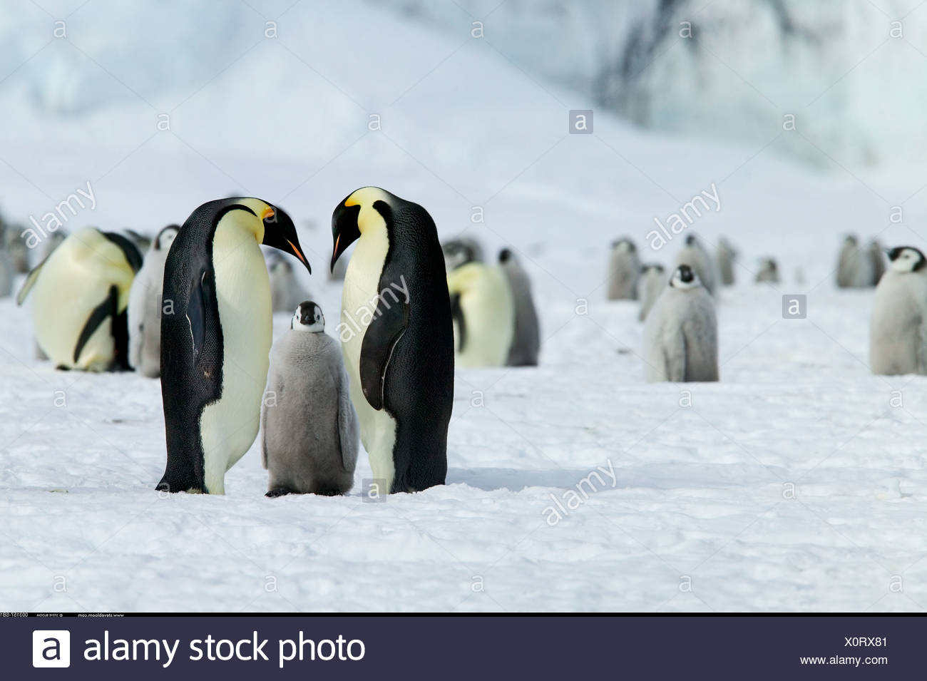 Moms And Kids High Resolution Stock Photography and Images - Alamy