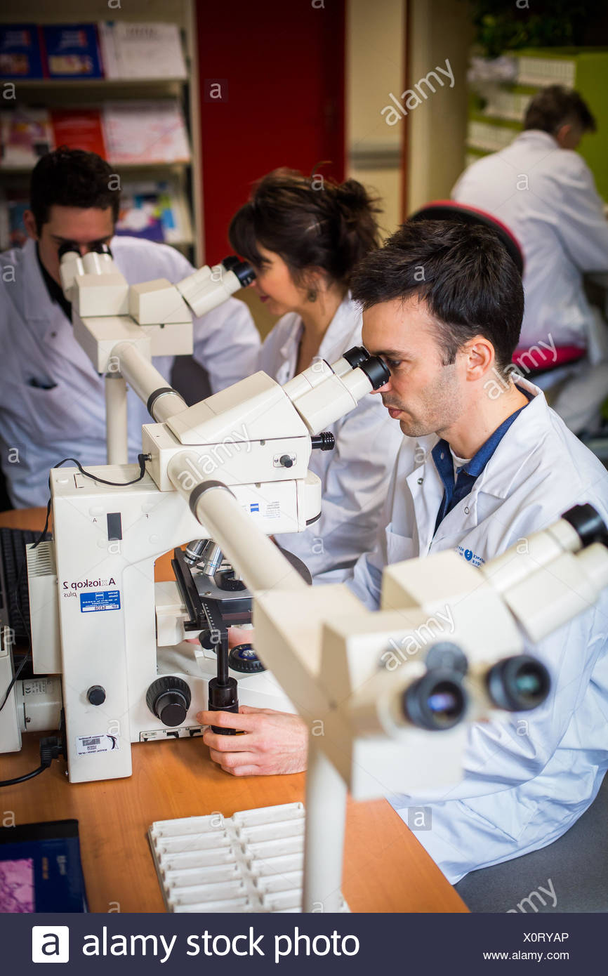 Pathoanatomy High Resolution Stock Photography and Images - Alamy