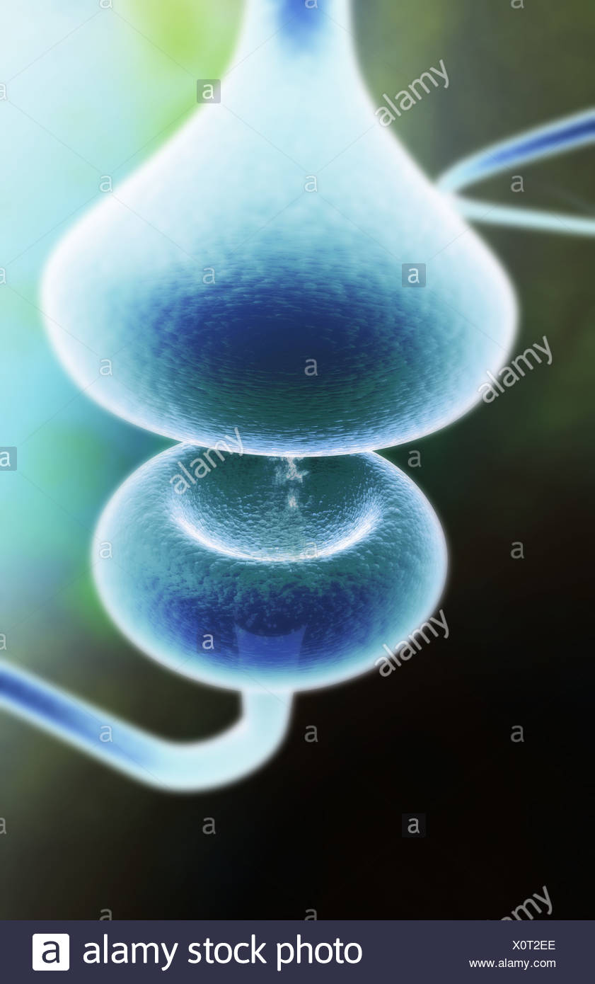 Synapse Illustration High Resolution Stock Photography and Images - Alamy
