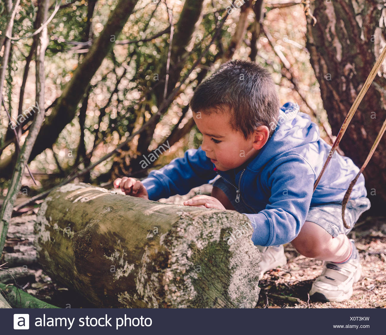 Wooden Log High Resolution Stock Photography and Images - Alamy