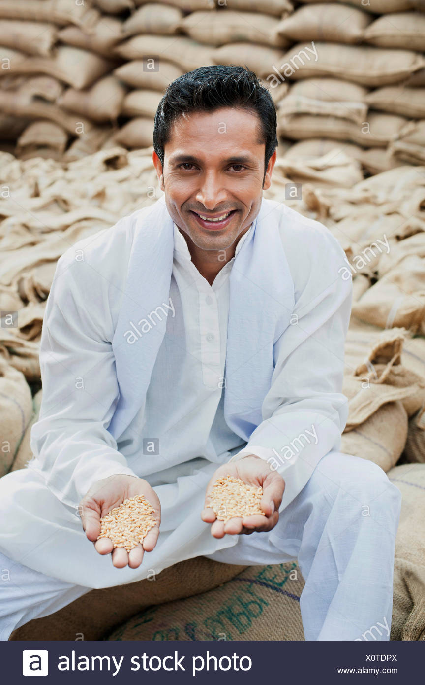 Wheat Grain Mandi High Resolution Stock Photography and Images - Alamy