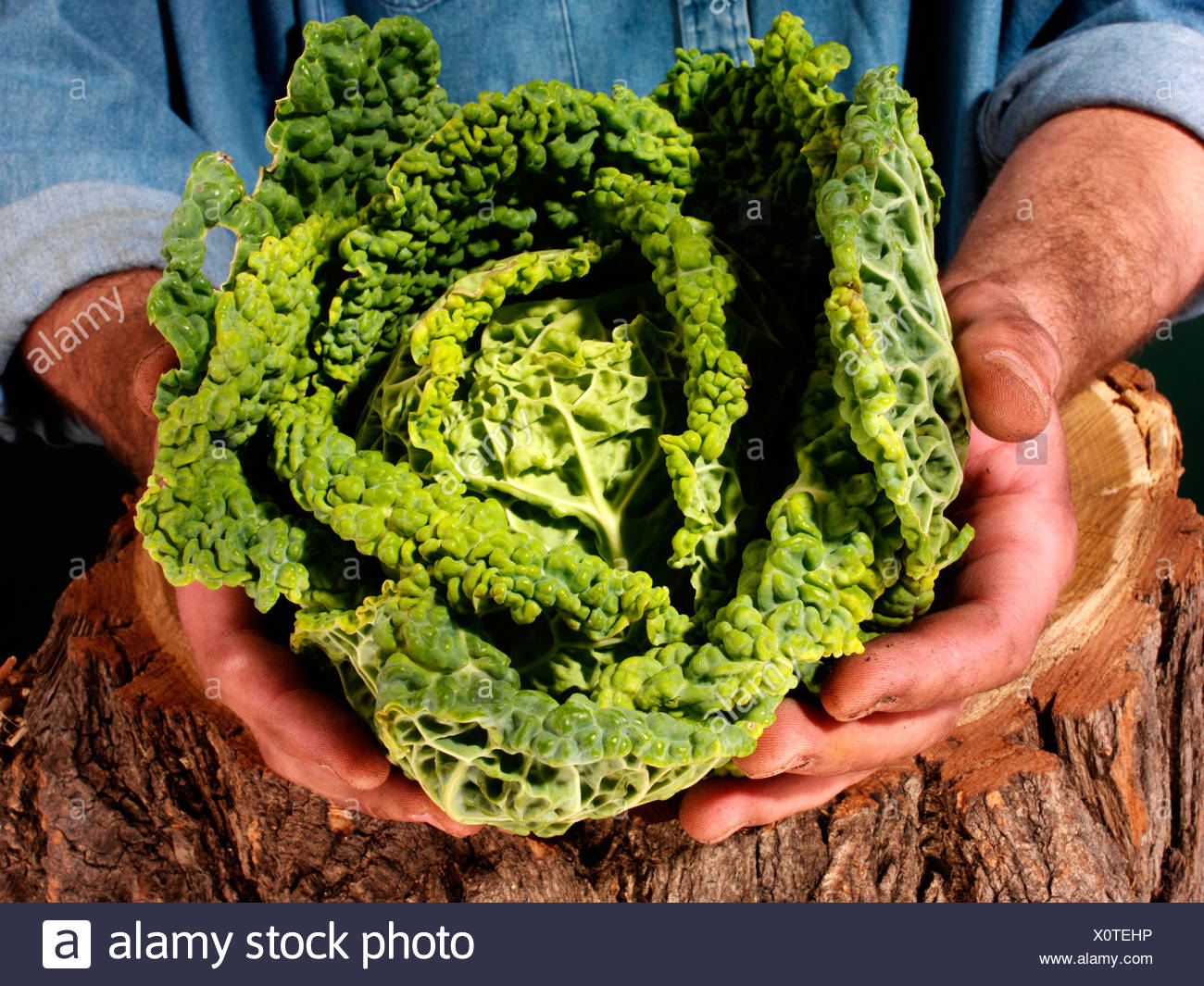 Man Holding Cabbage High Resolution Stock Photography and Images - Alamy
