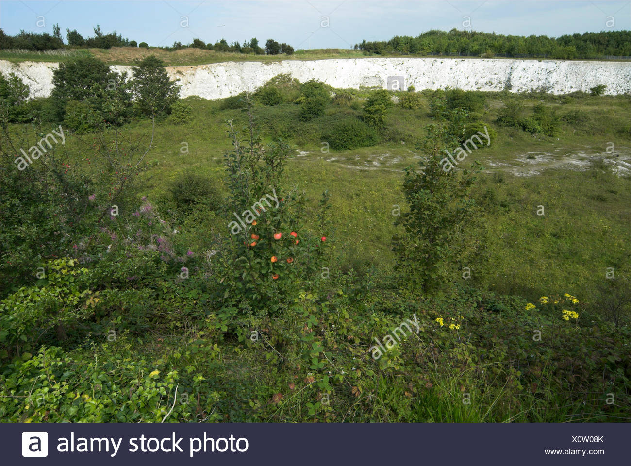 Chalk Pit High Resolution Stock Photography and Images - Alamy