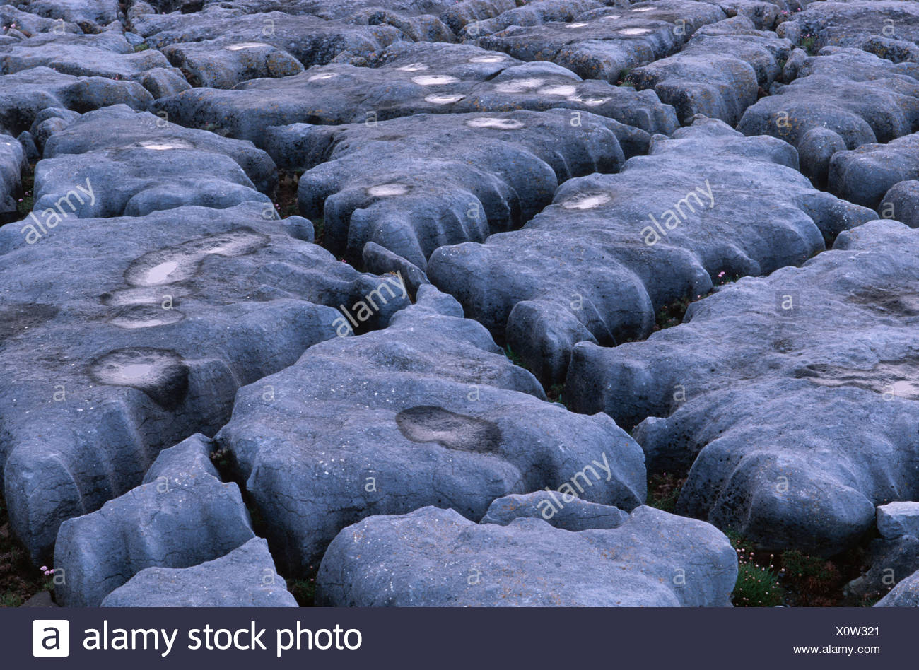 Limestones Stock Photos & Limestones Stock Images - Alamy