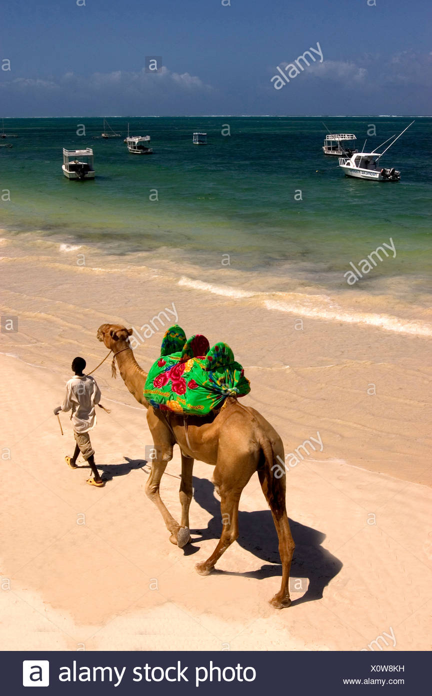 Nyali Beach High Resolution Stock Photography and Images - Alamy