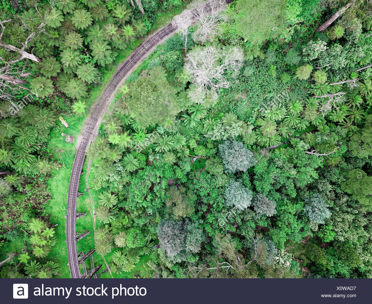 The Scene Selby High Resolution Stock Photography and Images - Alamy