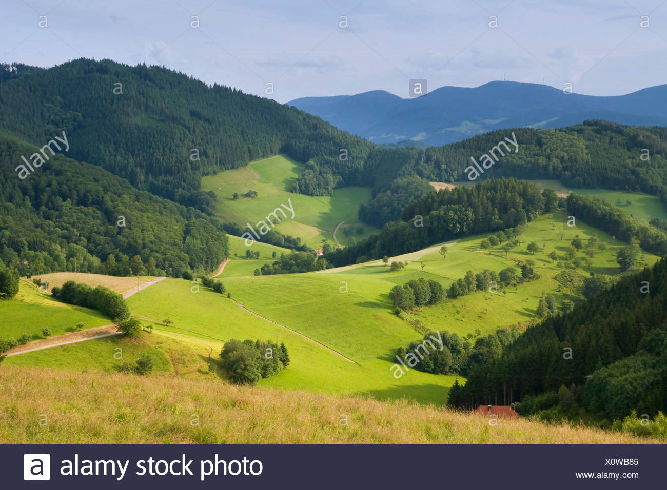 Gutach High Resolution Stock Photography and Images - Alamy