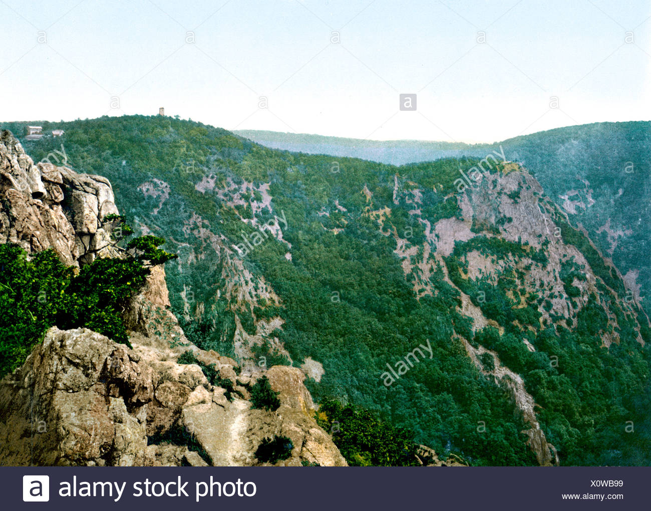 Hartz Mountain High Resolution Stock Photography and Images - Alamy