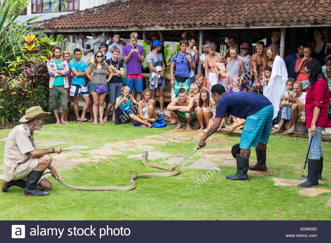 Snakes Of Indonesia High Resolution Stock Photography and Images - Alamy