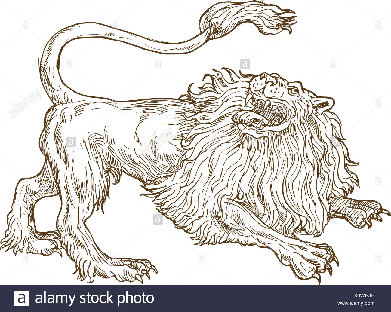 Angry Lion Drawing Stock Photos & Angry Lion Drawing Stock Images - Alamy
