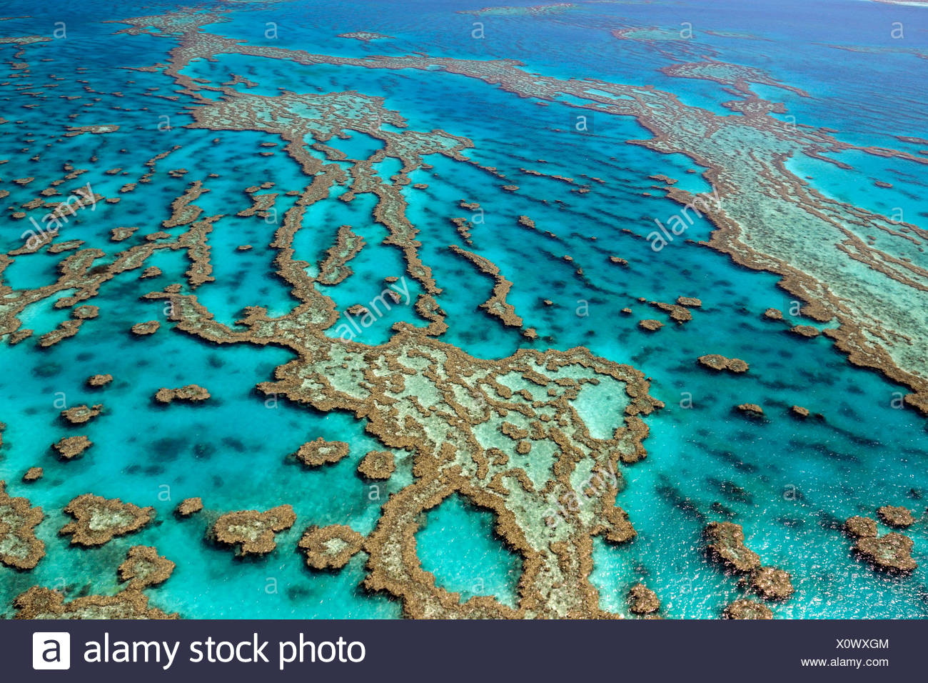 Reefs And Atolls Stock Photos & Reefs And Atolls Stock Images - Alamy