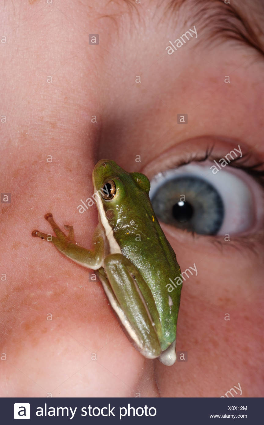 Girl With Frog High Resolution Stock Photography and Images - Alamy