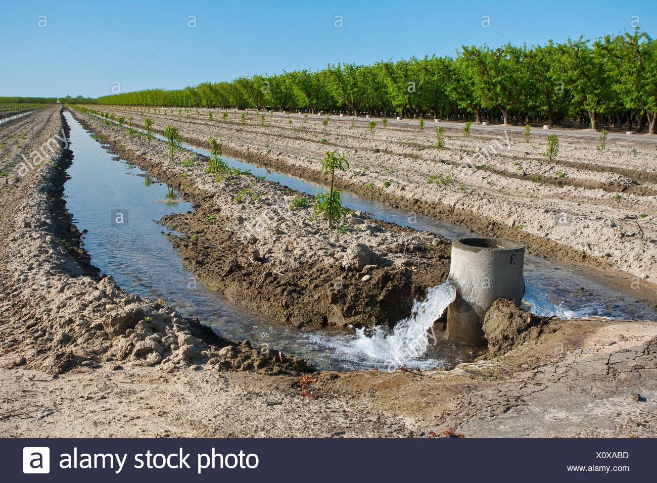 Irrigation Standpipe High Resolution Stock Photography and Images - Alamy