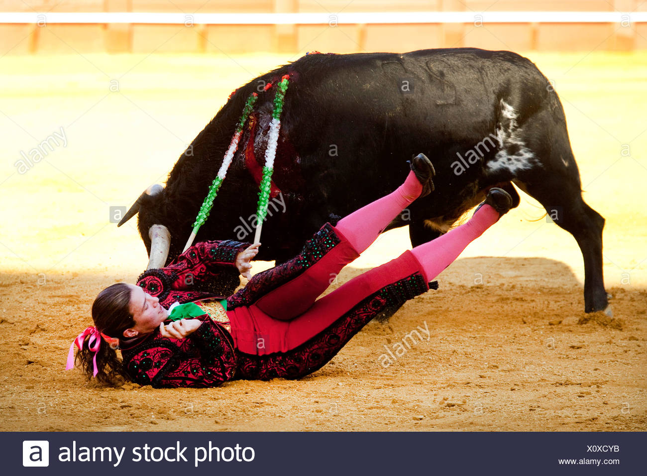 Falling Bull High Resolution Stock Photography and Images - Alamy