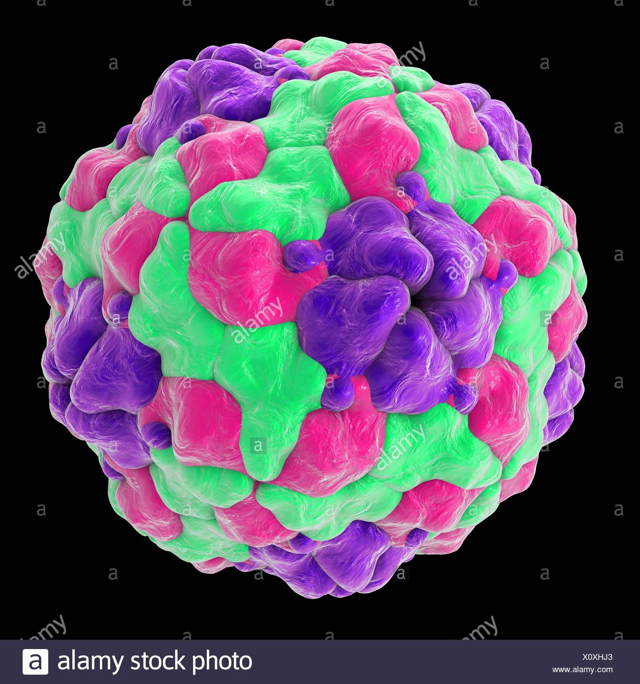 Parechovirus High Resolution Stock Photography and Images - Alamy