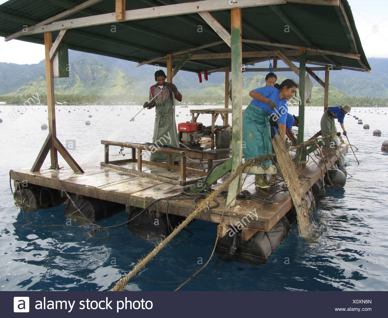 Floating Oysters High Resolution Stock Photography and Images - Alamy