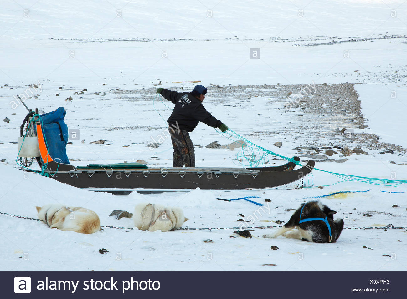 Inuit Snow Sled Stock Photos & Inuit Snow Sled Stock Images - Alamy