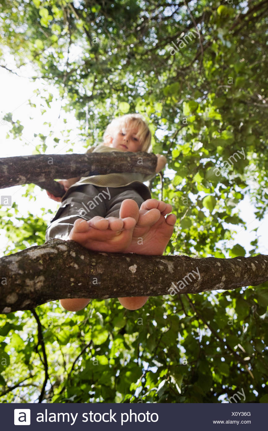 Boy Standing Under Tree High Resolution Stock Photography and Images ...