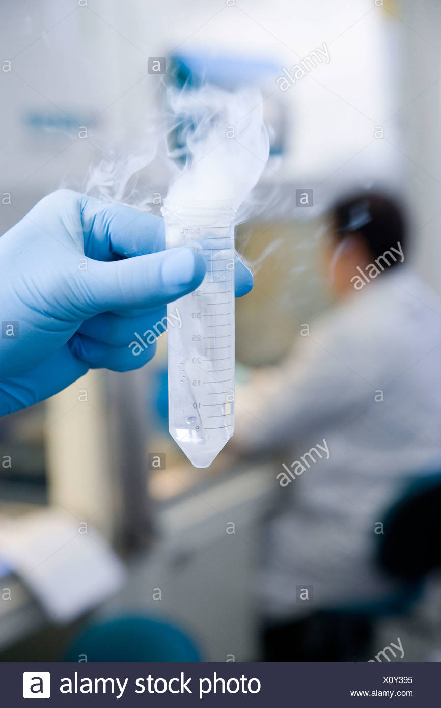 Sample Room High Resolution Stock Photography and Images - Alamy