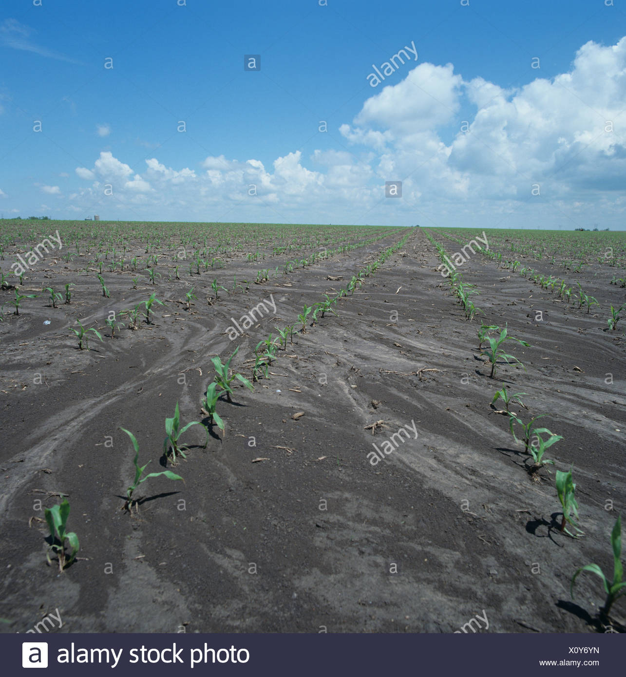 Silty Soil High Resolution Stock Photography and Images - Alamy