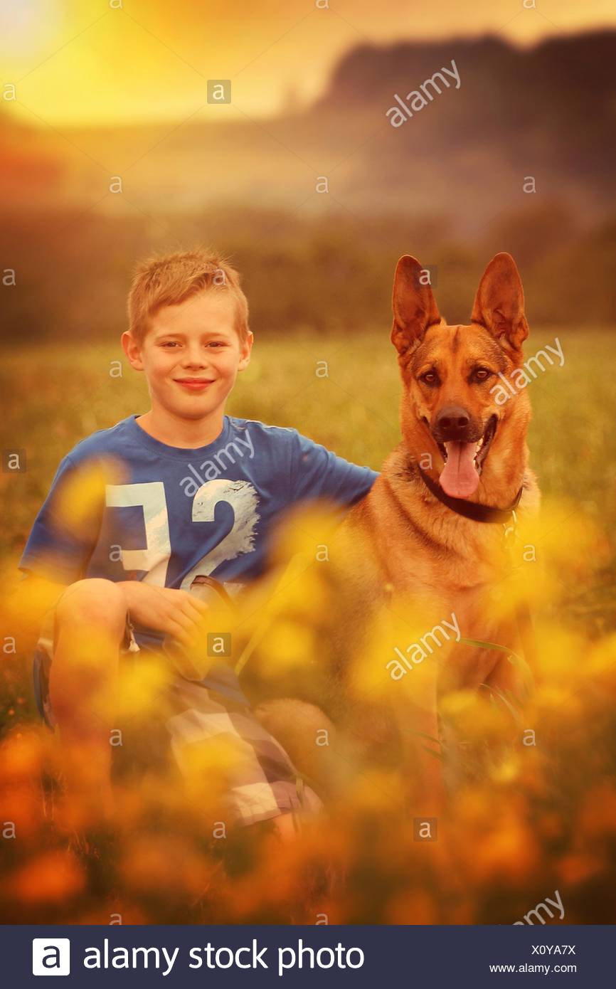Shepherd Boy,dog Stock Photos & Shepherd Boy,dog Stock Images - Alamy