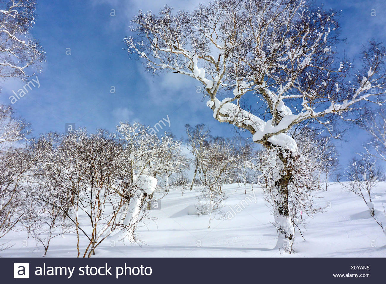 Most Northern Of The Japanese Main Islands High Resolution Stock ...